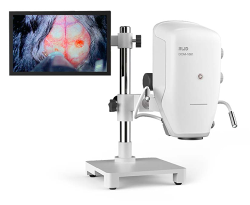 Microscope Archives - RWD Life Science