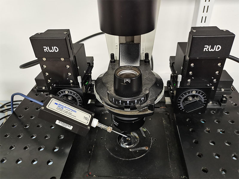 MM-500 Motorized Micromanipulator - RWD Life Science