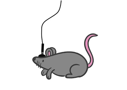 How to choose fiber photometry accessories for the most efficient ...