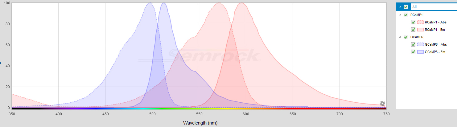Fiber Photometry Learning Guide for Beginners - RWD Life Science