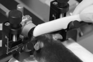 Fiber Photometry Working Principle and Process-RWD Life Science