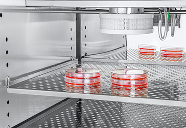 How to Precisely Control CO2 Incubator principle in Cell Growth?