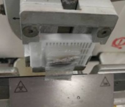 Microtome Sectioning of Tissue- RWD Science