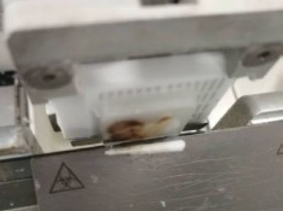 Microtome Sectioning of Tissue- RWD Science