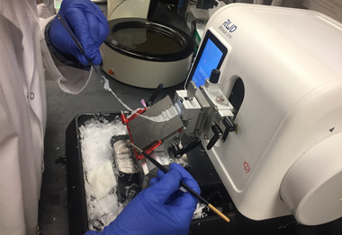 Microtome Sectioning of Tissue- RWD Science