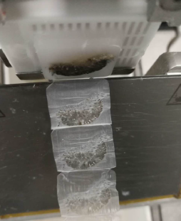 Microtome Sectioning of Tissue- RWD Science