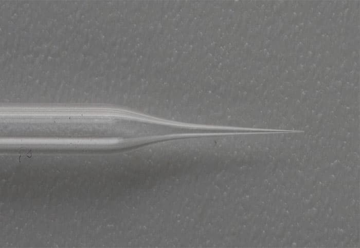 How To Perform Zebrafish Embryos Microinjection- RWD Science