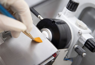 IHC Cryosectioning Protocol| Tips On Cryosection| RWD Science