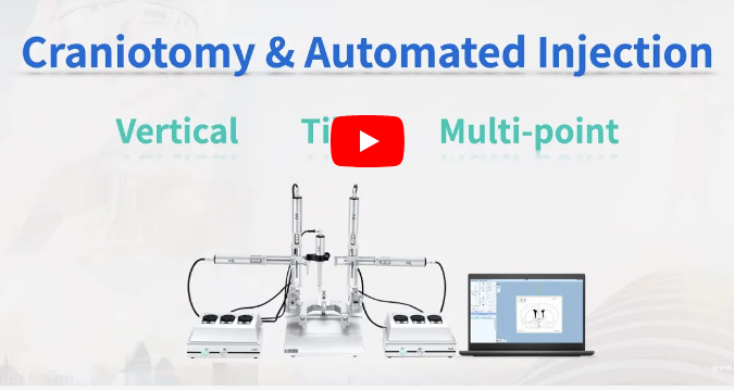 Automated stereotaxic instrument - craniotomy and automated injection ...