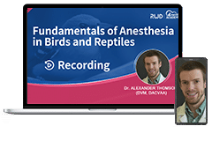 Fundamentals of Anesthesia in Birds and Reptiles - RWD Life Science
