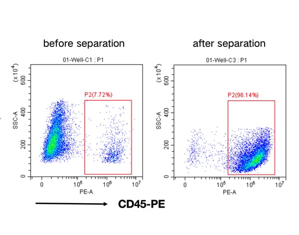 Mouse CD45+ Cell Separation Kit - RWD Life Science