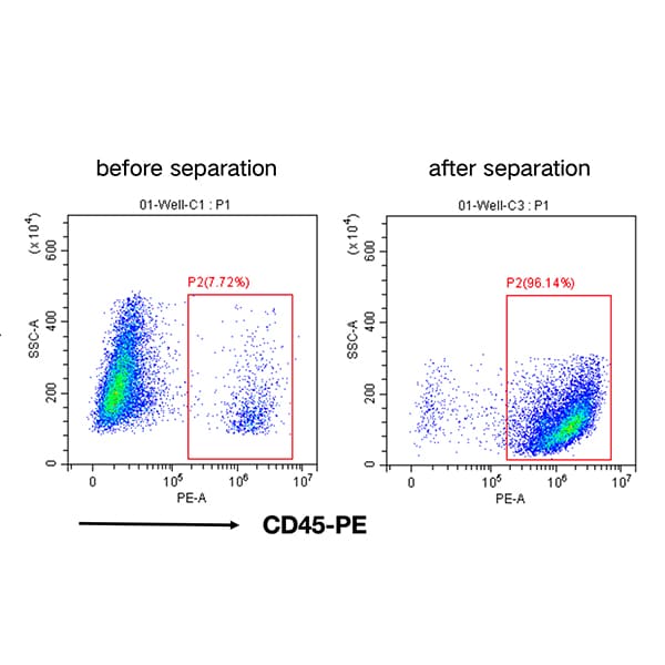 Mouse CD45+ Cell Separation Kit - RWD Life Science