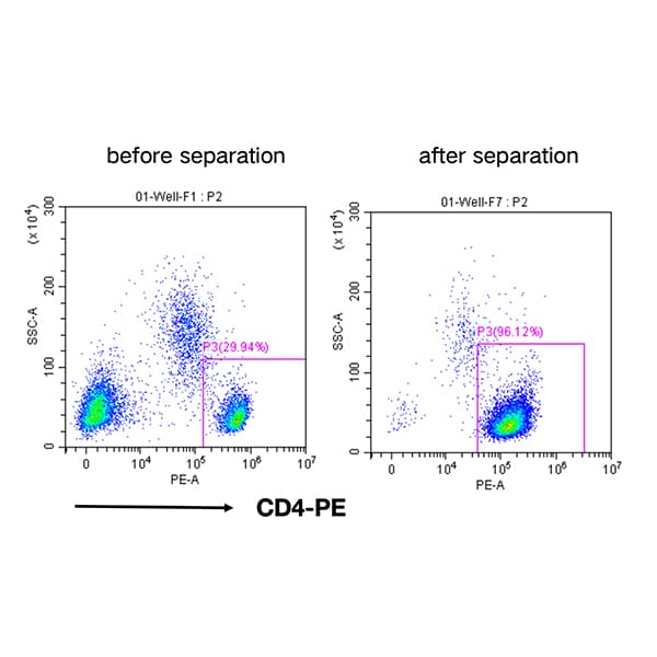 Human CD4+ Cell Separation Kit(RUO) - RWD Life Science