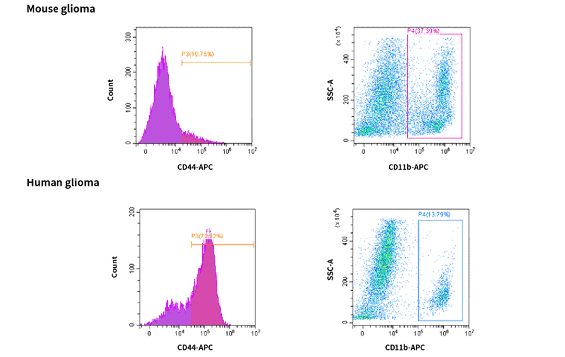 High Activity Brain Tumor Enzymatic Digestion Kit - RWD Life Science
